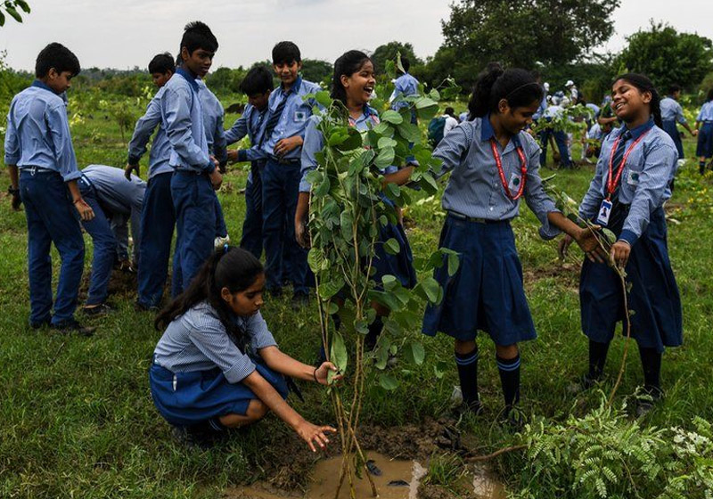Arasu Biodiversity